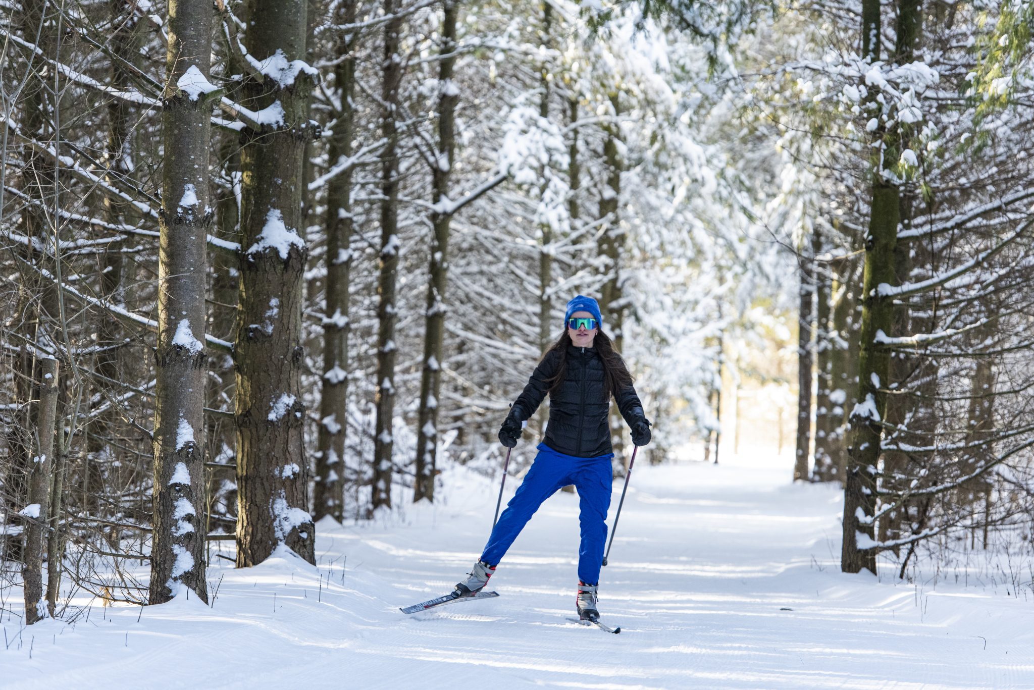 Discover the Magic of Bruce County Transformed into a Winter Wonderland ...