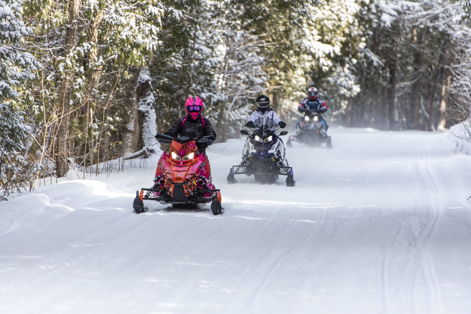 Discover the Magic of Bruce County Transformed into a Winter Wonderland ...
