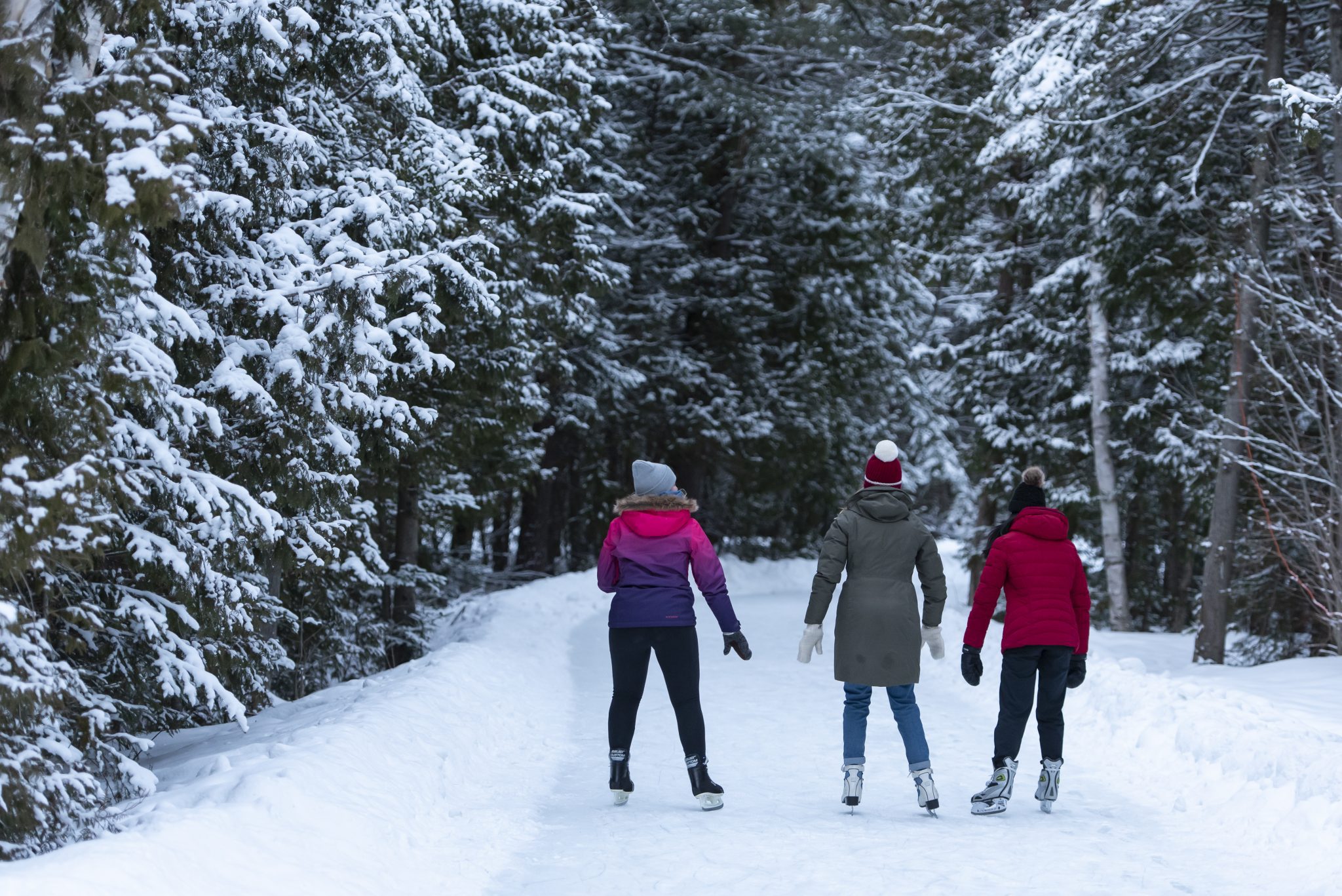 Discover the Magic of Bruce County Transformed into a Winter Wonderland ...