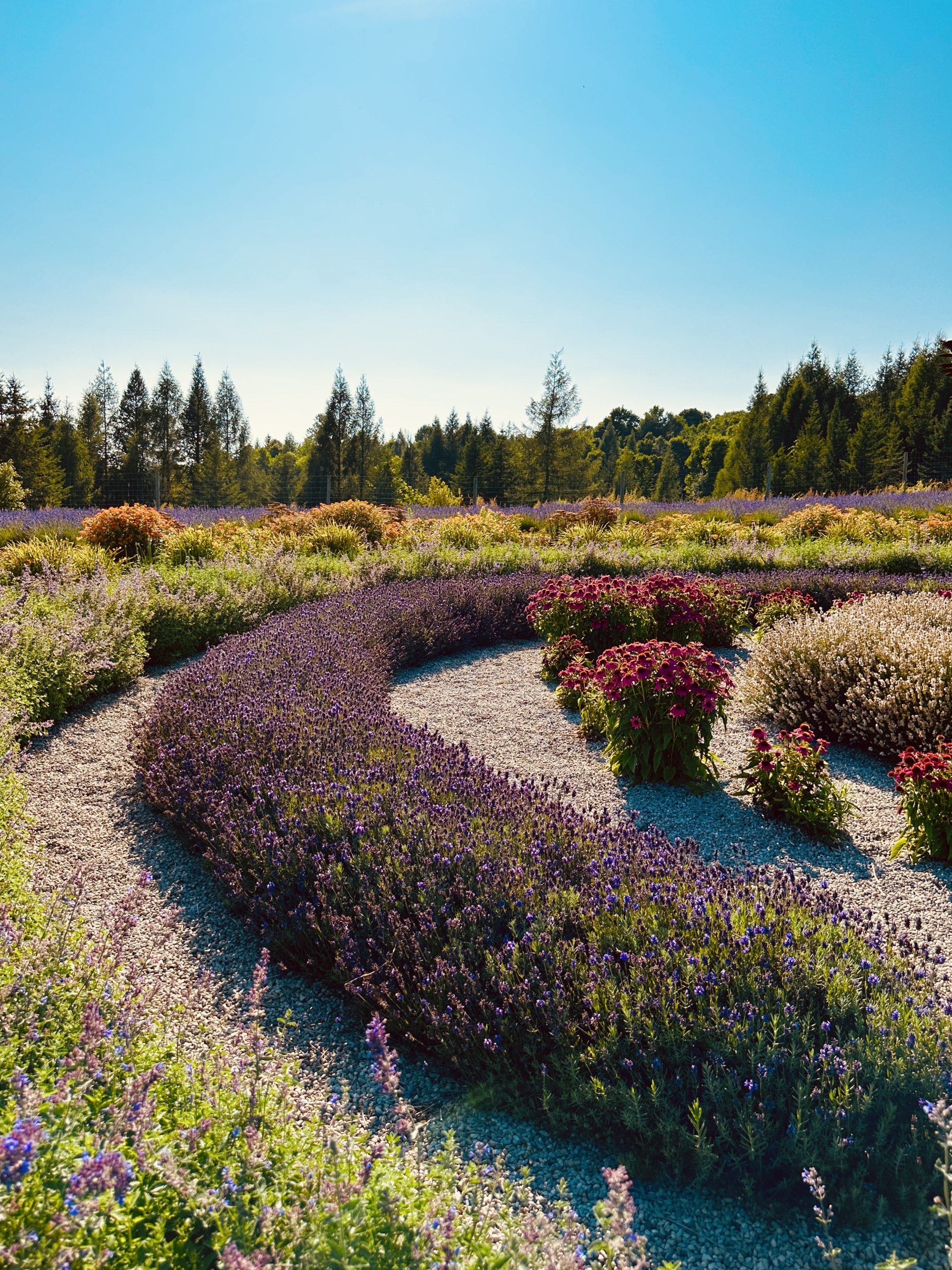 Heart of Bruce Botanical Gardens Tour - Explore The Bruce | Bruce County