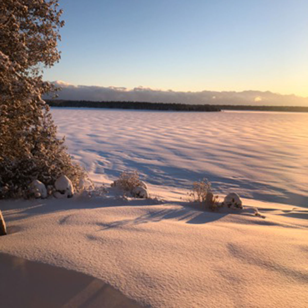 Dare to Do Winter - Explore The Bruce | Bruce County