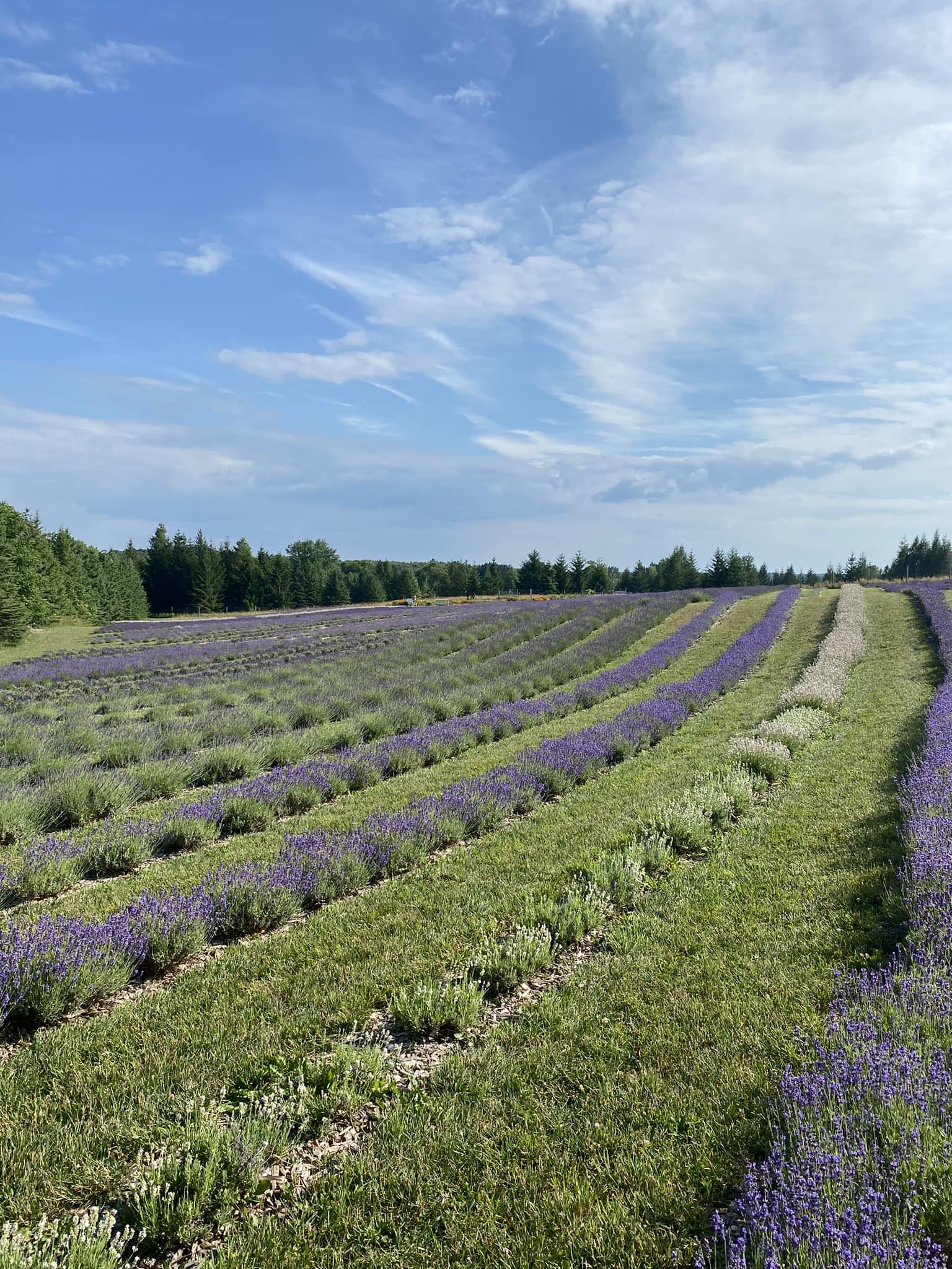 A Taste of Bruce County - Explore The Bruce | Bruce County