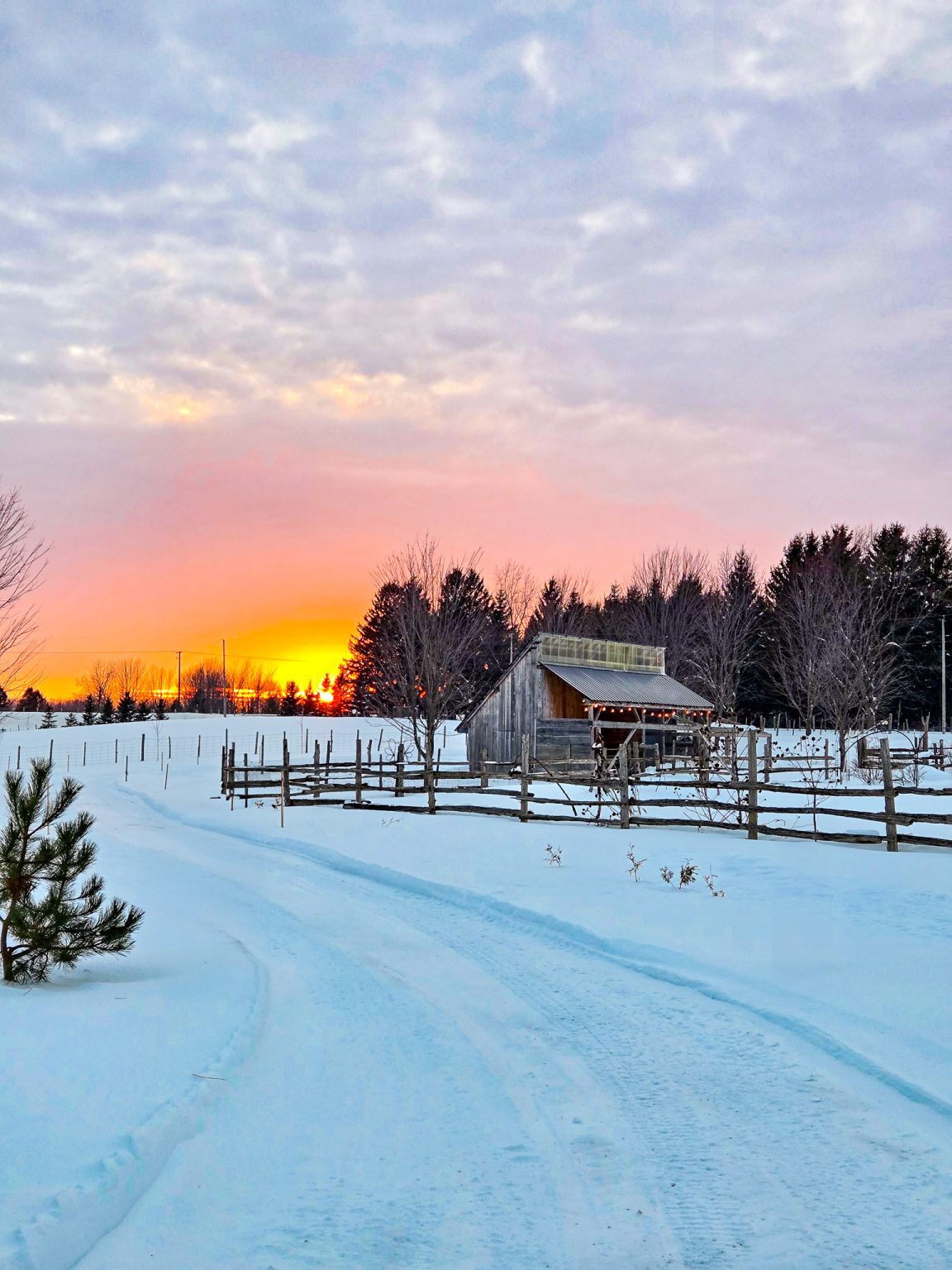 Dare to Do Winter - Explore The Bruce | Bruce County